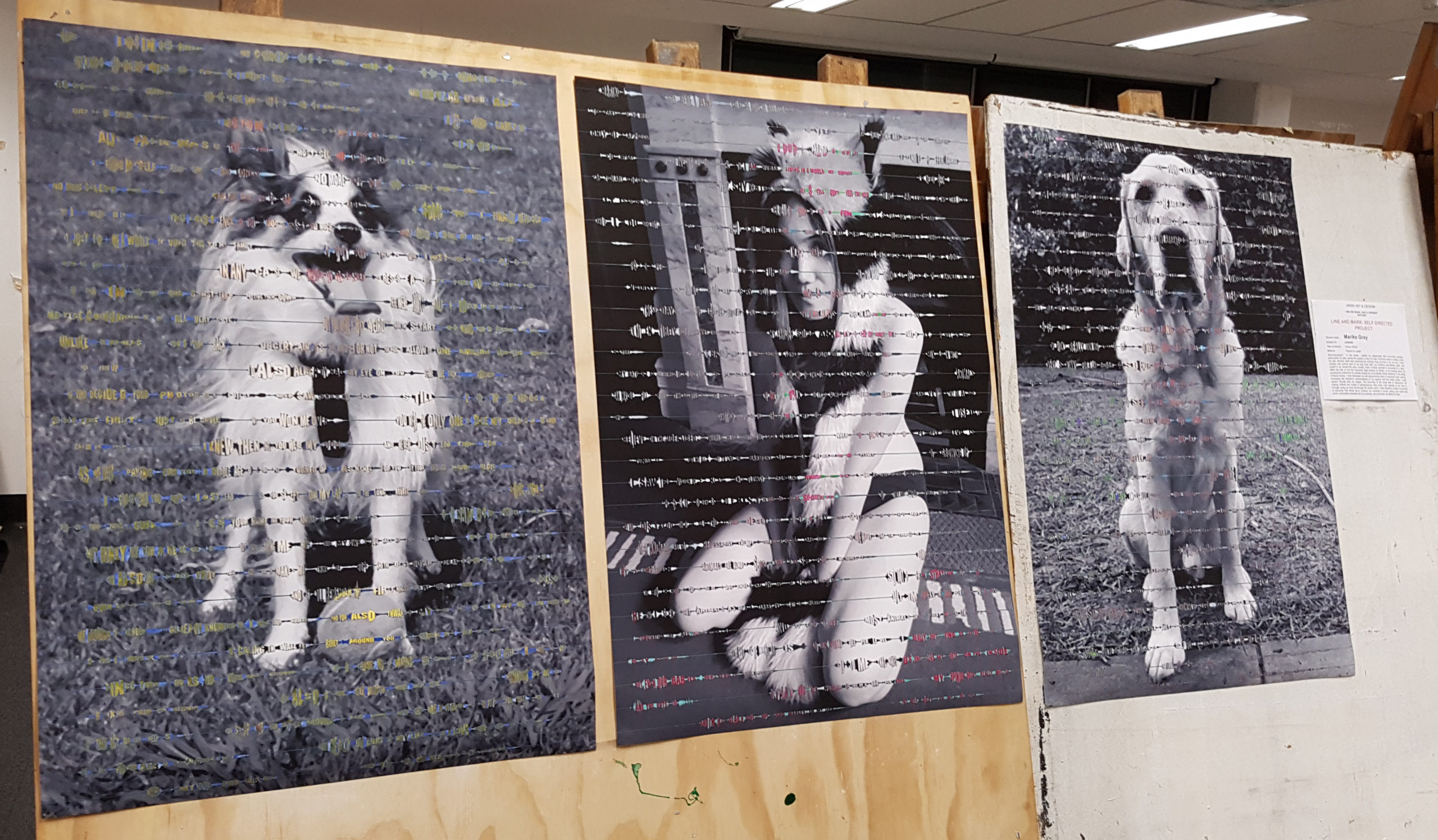 Animal Affinity – DestroyerMariko